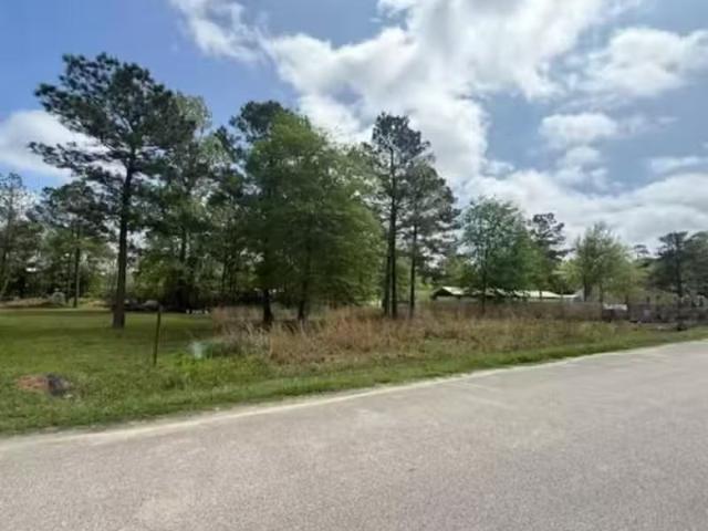 305 County Rd 3419, Cleveland, TX 77327 MLS 323932