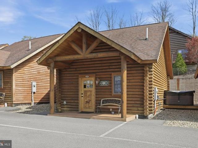 305 Cabin Lodge Rd, McHenry, MD 21541
