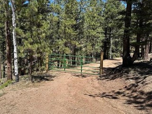 305 and 281 Midnight Ln, Florissant, CO 80816