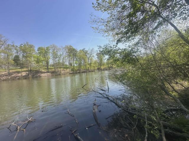 305 Heron Cove Rd