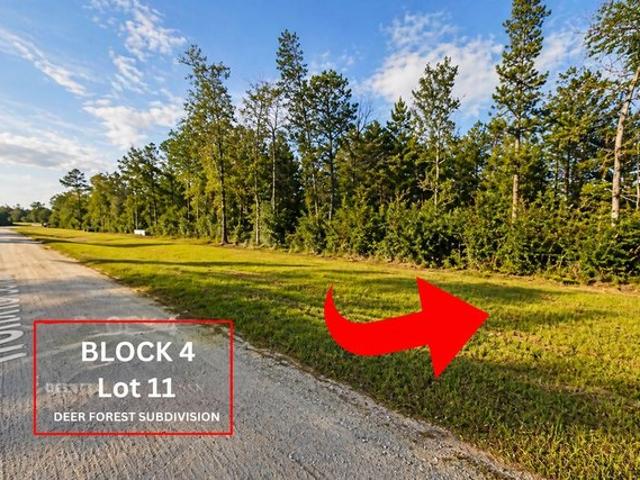 305 Iron Horse Rd, Willis, TX 77378