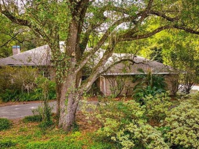 305 NE 11th Ave, Williston, FL 32696