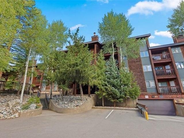 305 S Park Ave, Breckenridge, CO 80424
