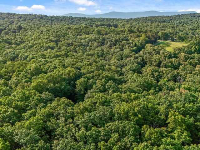 305 Smokey Ridge