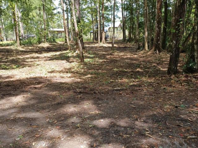 305 Portland Park Rd, Freeport, FL 32439 | MLS #982591
