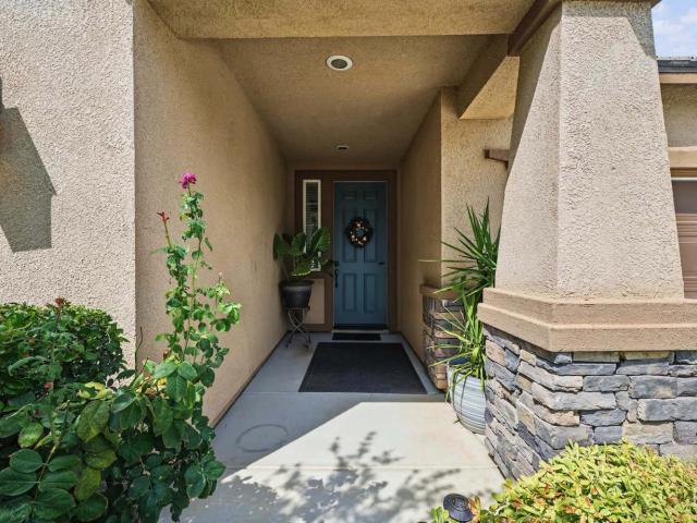 305 White Alder Drive