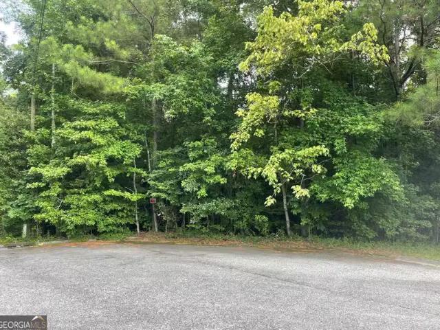 3064 River Ridge Dr, Macon, GA 31204 MLS 10349747