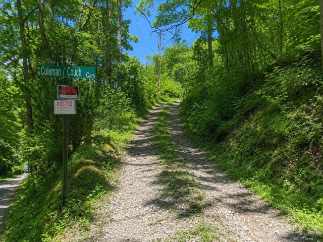 3066 Big Willard Road