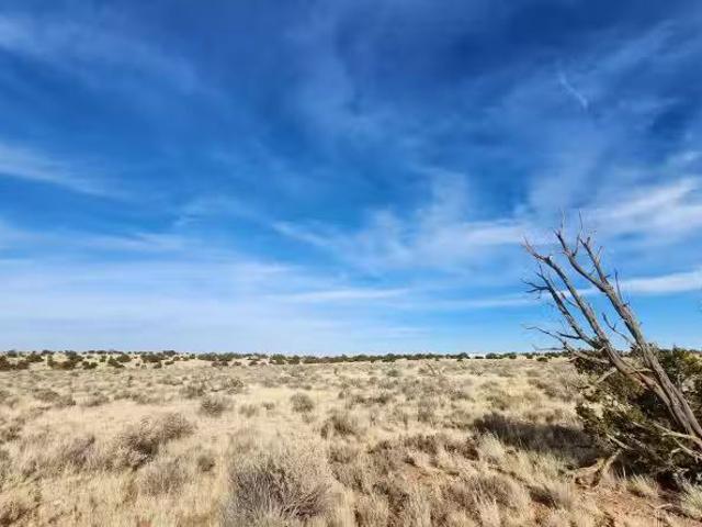 3067 S Dartmouth St, Williams, AZ 86046 MLS 199101