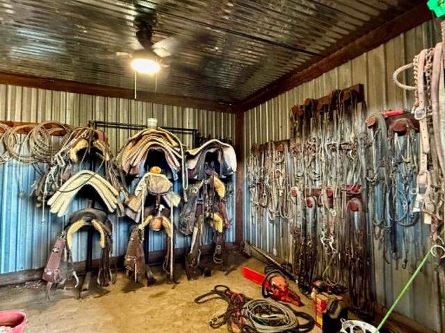 3068 Highway 36
