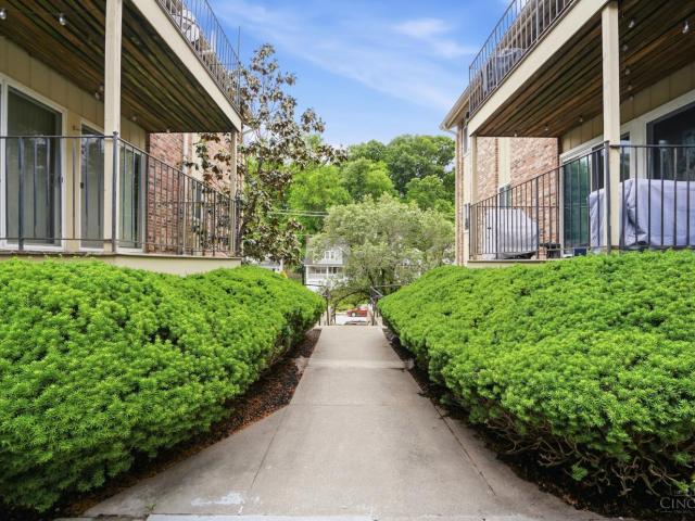 3069 Alpine