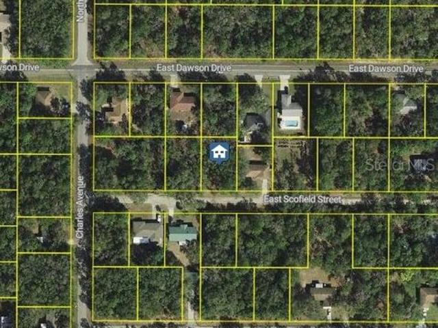 3061 E Scofield St, Inverness, FL 34453