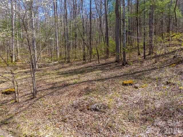 306 Cedar Creek Farm Rd, Tuckasegee, NC 28783