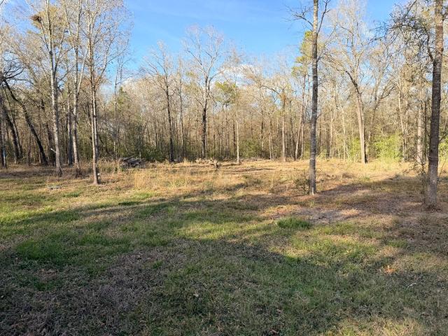 306 Indian Oaks, Livingston, TX 77351 | MLS #84748 | Compass