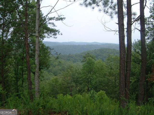 306 Oberlin Ct, Ranger, GA 30734 | MLS #10670 | Compass
