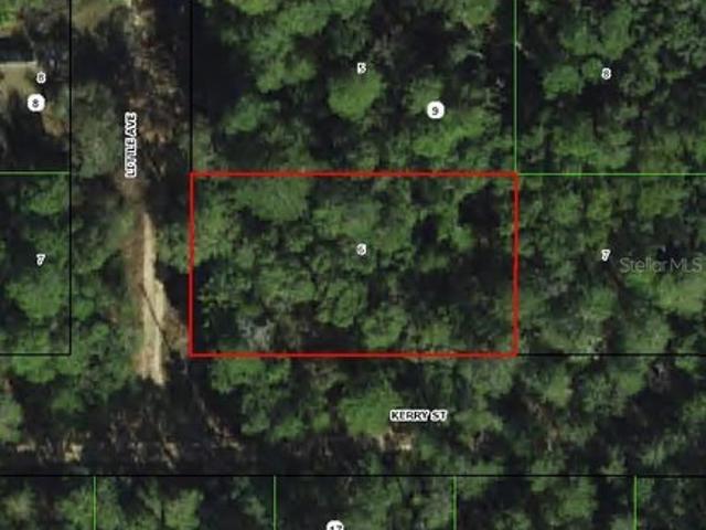 306 Little Ave, Inverness, FL 34452