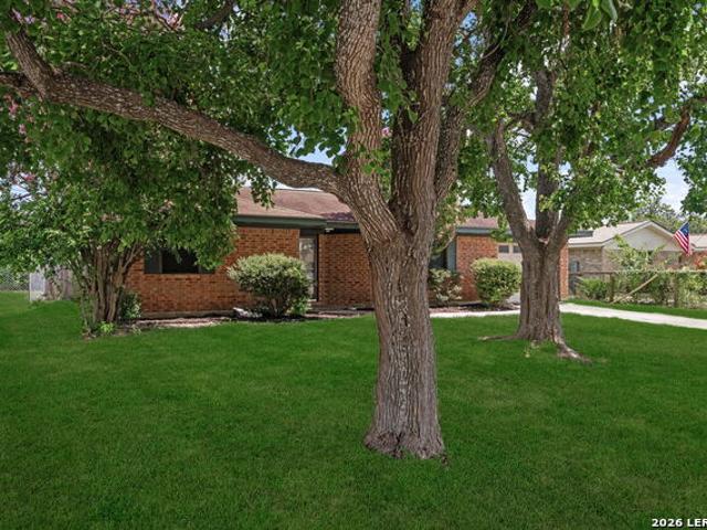 306 Meadow Dr