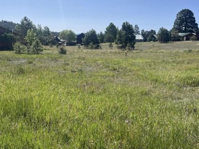 306 Snow Cir, Pagosa Springs, CO 81147