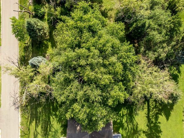 306 SW Briar Cliff Street