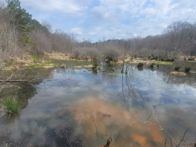 306 Patterson Road