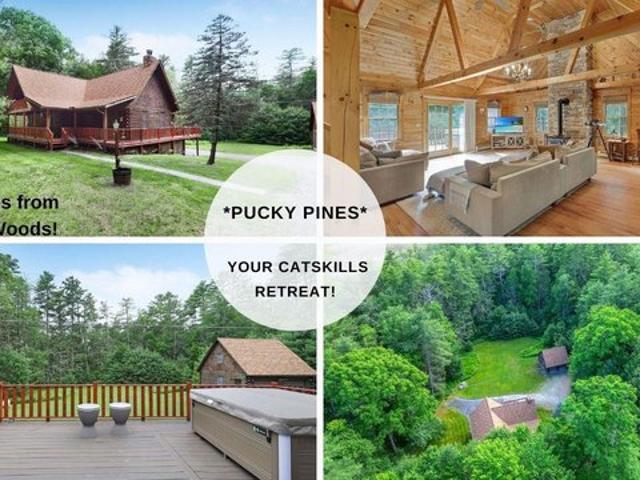 306 Pucky Huddle Rd, Bethel, NY 12720