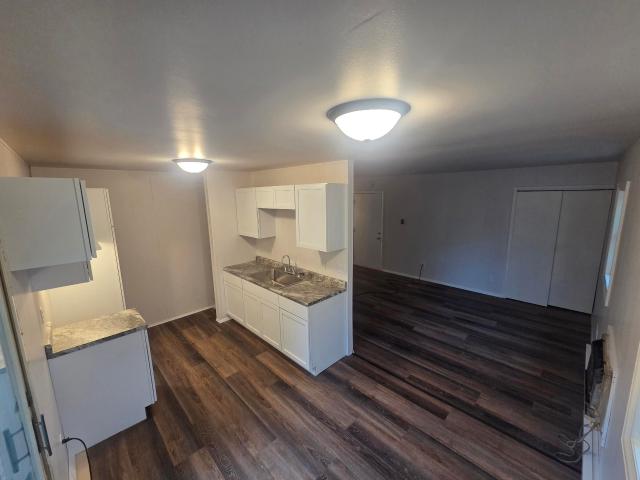 306 W Wilson Street #3