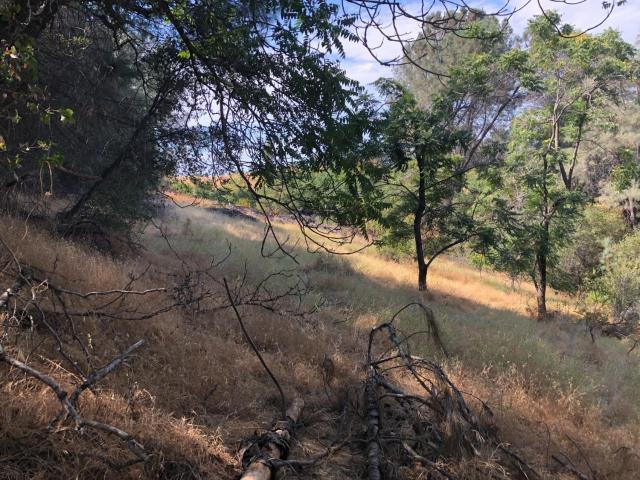 3075 Gold Nugget Way, Placerville, CA 95667 | MLS #226045 | Compass