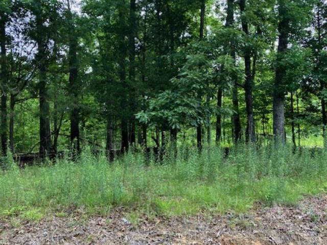 3075 Rehoboth Rd, Somerville, TN 38068 | MLS #10176 | Compass