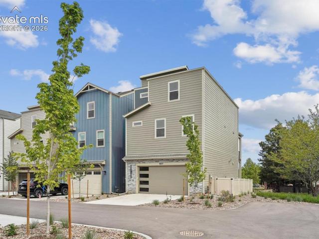 3077 Curly Grove