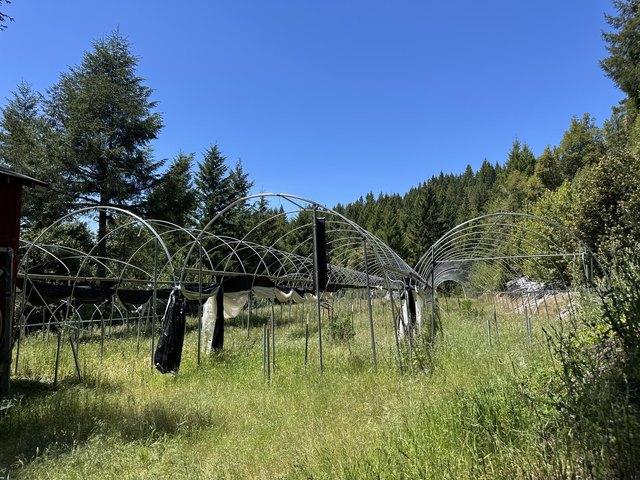 30782 CA 36, Bridgeville, CA 95526