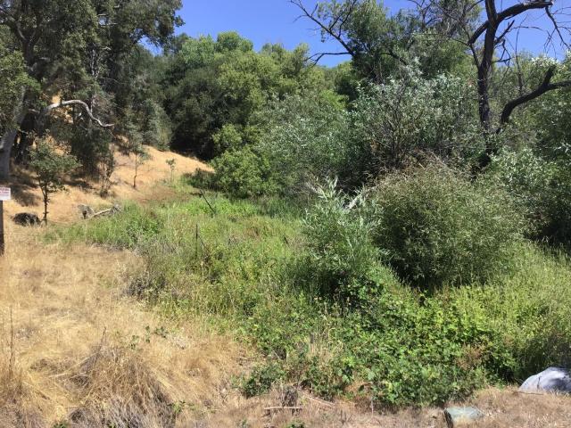 3071 Chestnut Way, Angels Camp, CA 95222 | MLS #225153 | Compass