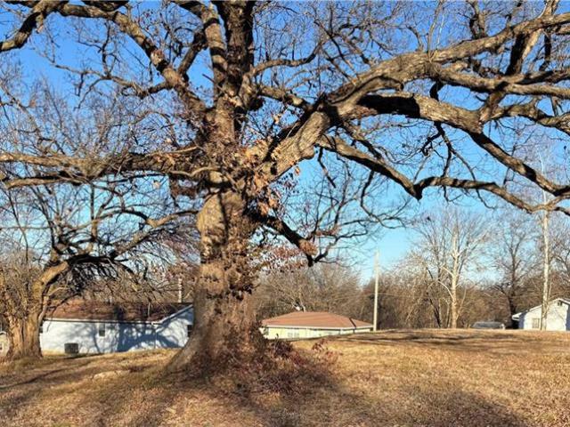 307 301 W Spring St, El Dorado Springs, MO 64744 | MLS #2599 | Compass