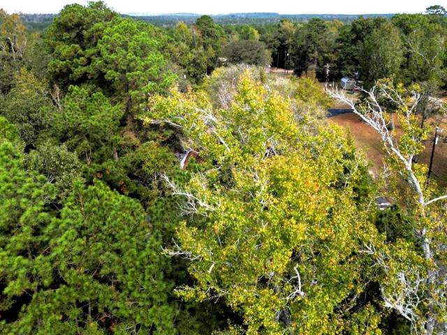 307 Cherokee Drive