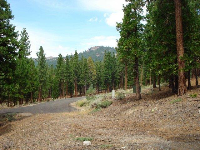 307 Big Cedar Ln Lot 290, Portola, CA 96122