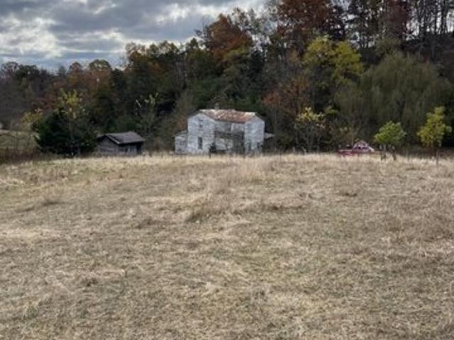 307 Earl Barr Ln, Fisher, WV 26818