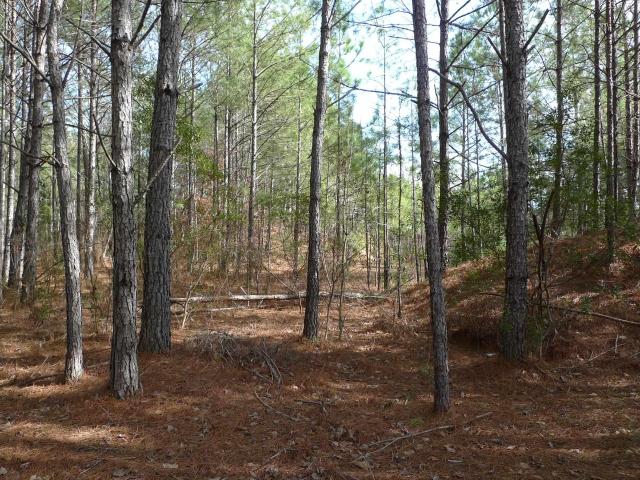 307 Foothills Drive # 5B