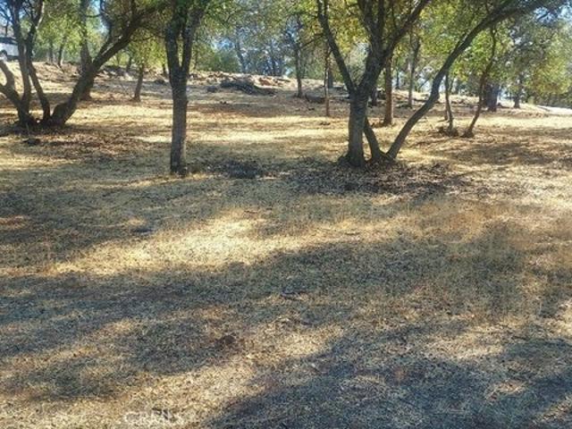 307 Lodgeview Dr, Oroville, CA 95966