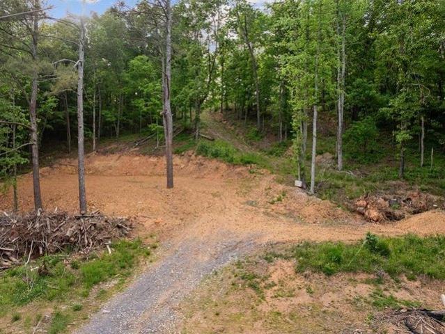 307 Moores Ferry Rd SW, Plainville, GA 30733