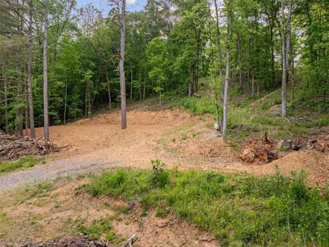 307 Moores Ferry Rd SW, Plainville, GA 30733 | MLS #7759