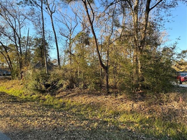 307 Magnolia Bend, New Caney, TX 77357 | MLS #55143