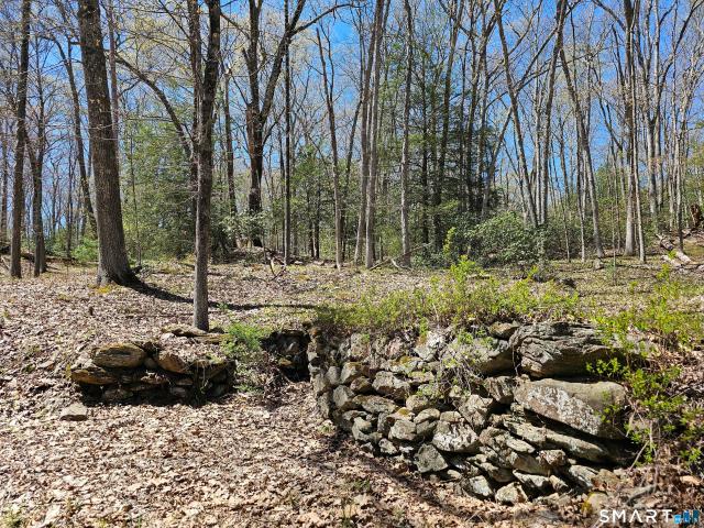 307 North St, Roxbury, CT 06783 | MLS #24169 | Compass
