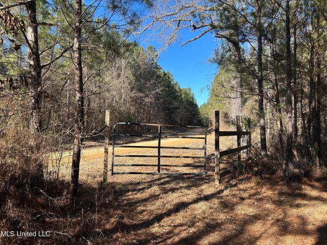 307 Willis Rd, Decatur, MS 39327 | MLS #4138