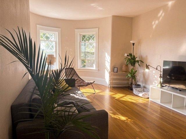 307 Tappan St Apt 3, Brookline, MA 02445