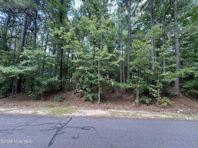 307 Thimbleberry Dr Lot 91, Vass, NC 28394