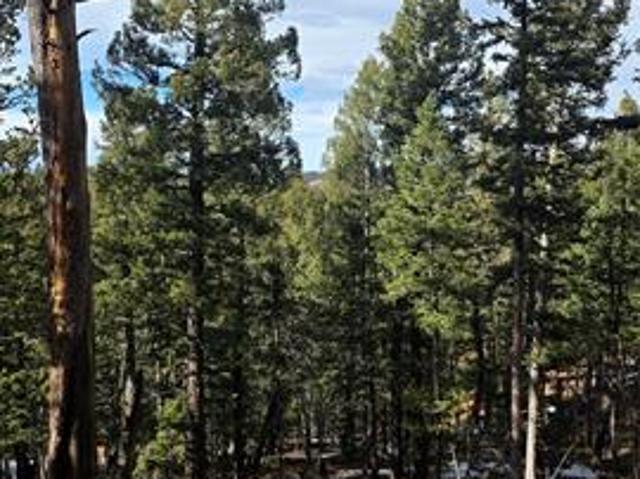 307 Tillicum Trail