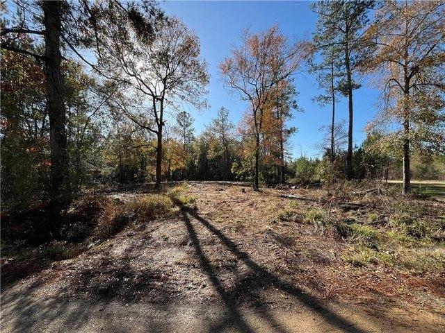 30840 Hubert Stilley Rd Lot 12, Independence, LA 70443