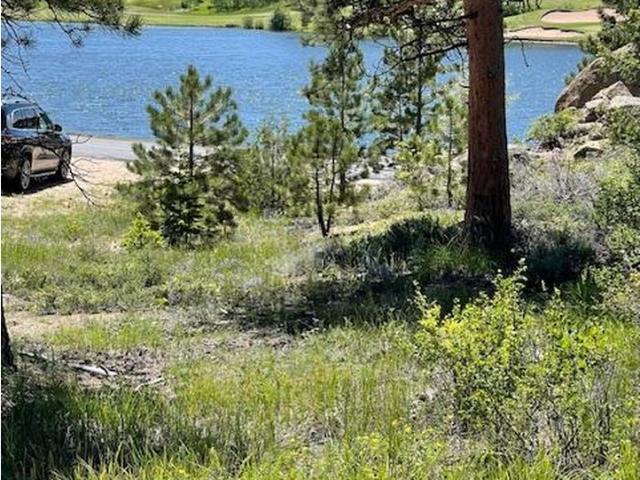 3086 Fox Acres Dr E, Red Feather Lakes, CO 80545 | MLS #1063