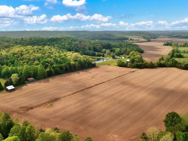 3087 Halls Creek Road