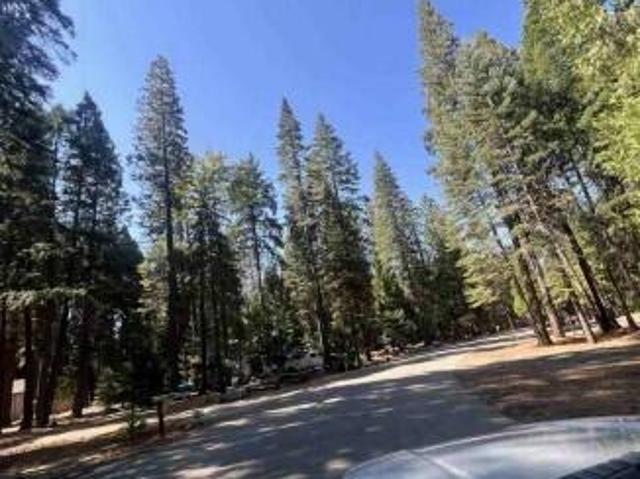 30889 Bambi Drive