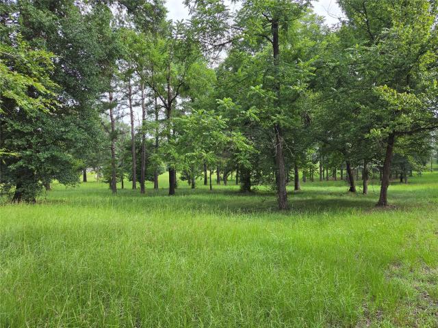 3088 County Road 2565 N